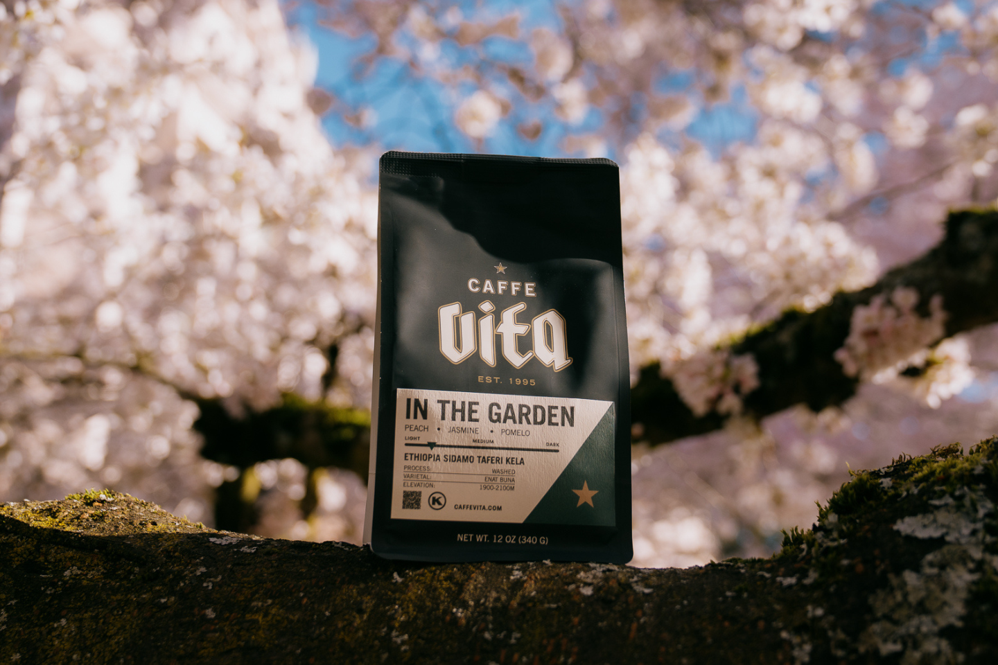 Vita Blog – Caffe Vita Coffee Roasting Co.